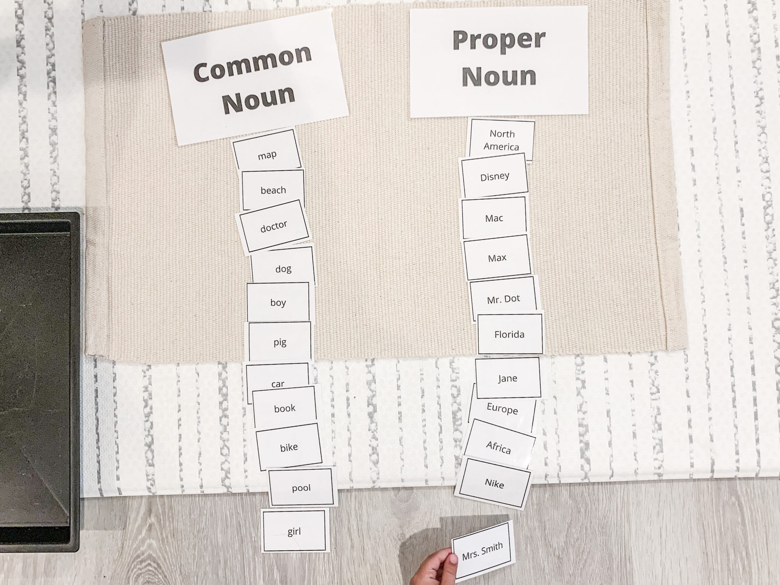 FREE Printable Worksheet Activity For Common And Proper Noun Lesson