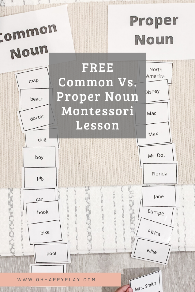 FREE Printable Worksheet Activity For Common And Proper Noun Lesson