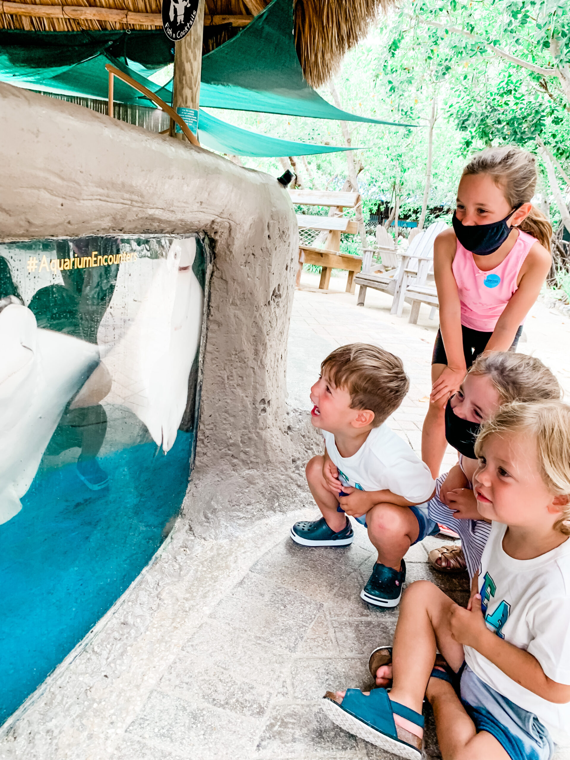 5 Things To Do In The Florida Keys with Little Kids